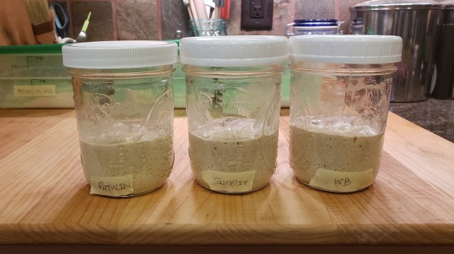 | Join me as I explore the art of fermentation one brew, bake, and cook ...